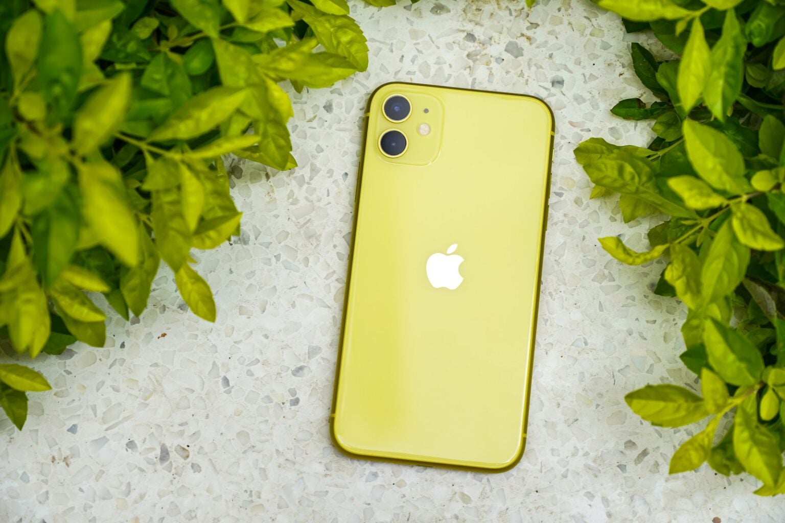 iPhone Yellow Screen of Death: Causes and Solutions - ComputerCity
